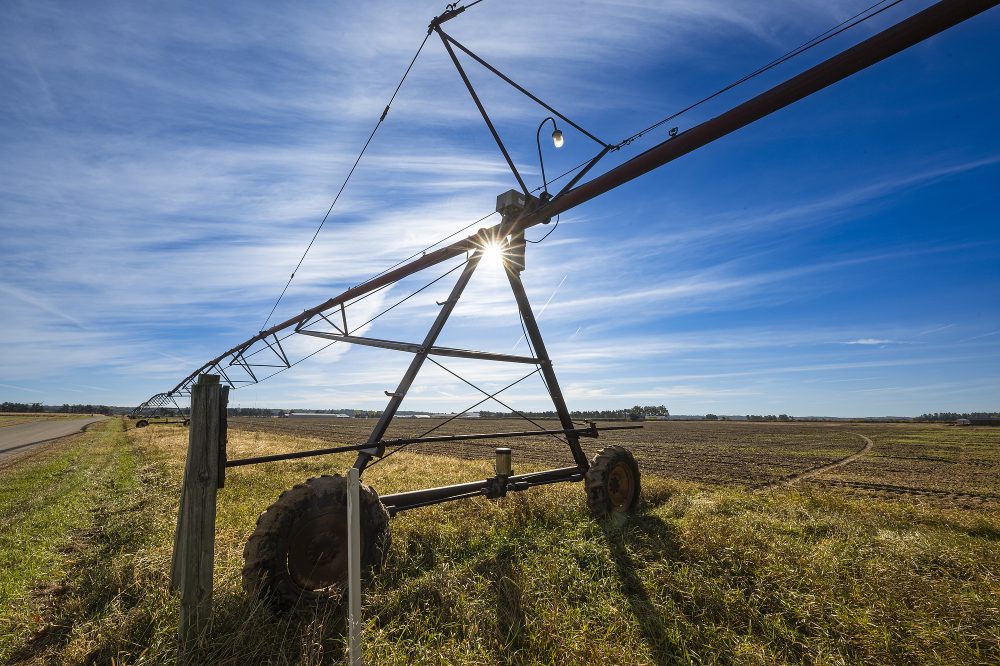 UW–Madison researchers and Wisconsin farmers work together to produce ...